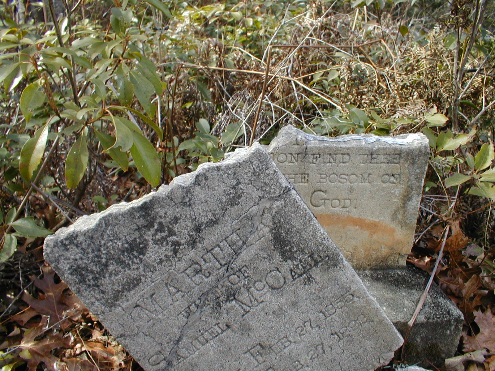 Preserving Transylvania's Burial Grounds and Cemeteries - Transylvania ...