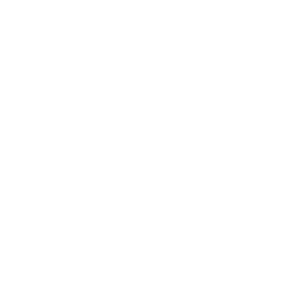 Borrow - Transylvania County Library