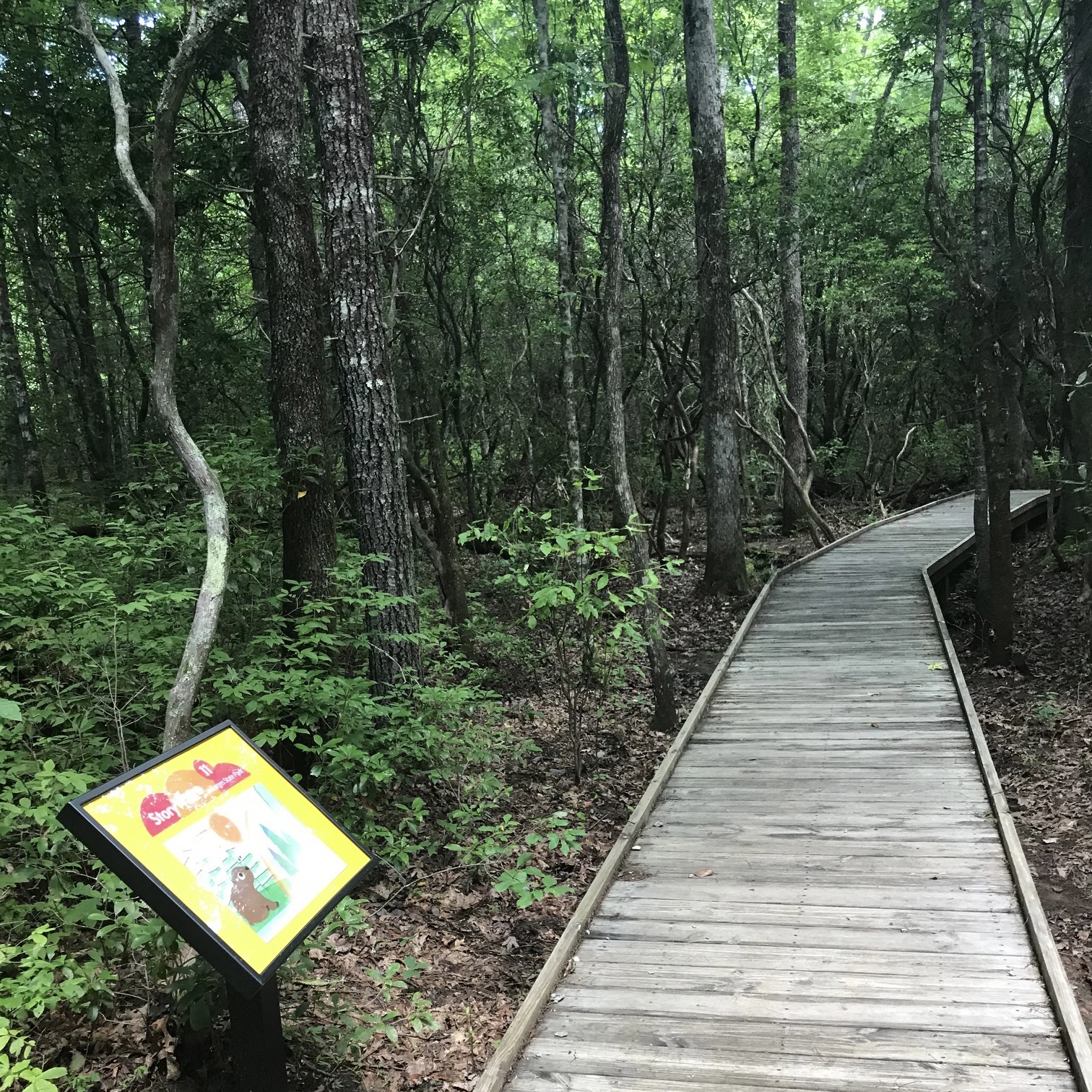 StoryWalks - Transylvania County Library