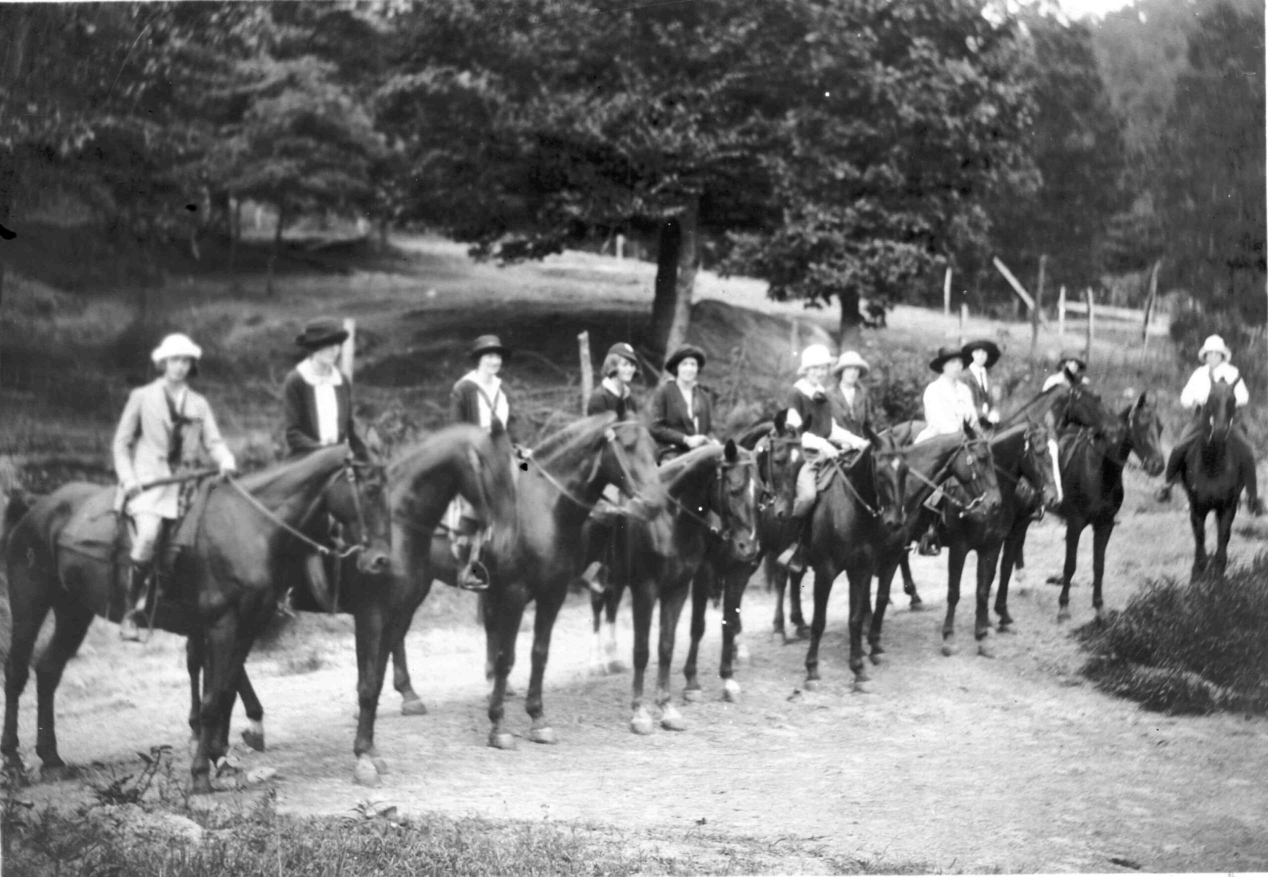 Adventure Tourism - Transylvania County Library